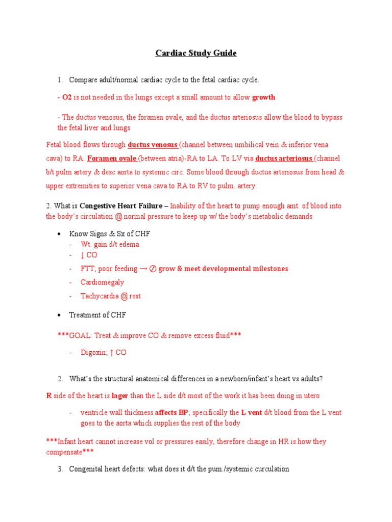 Cardiac Study Guide | PDF | Heart | Circulatory System
