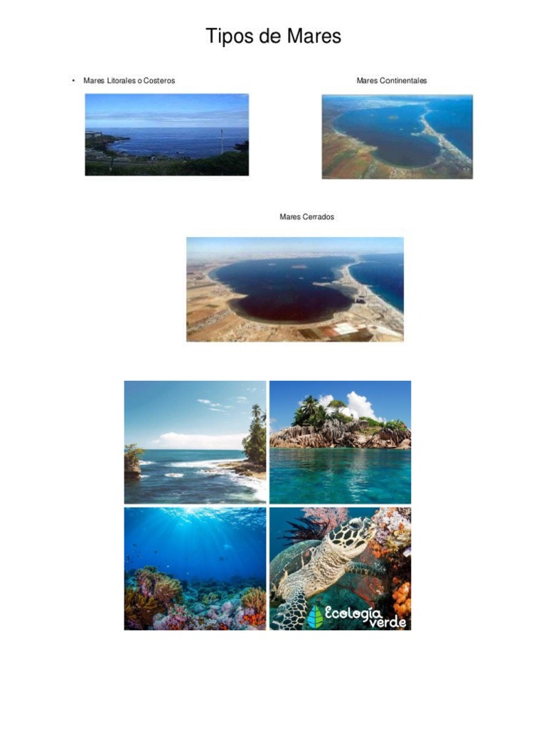 Tipos de Mares | PDF