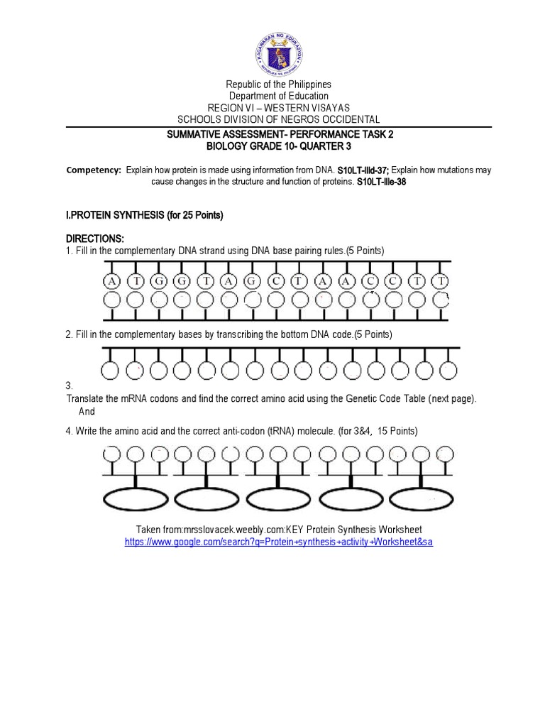 Performance Task 2 | PDF | Genetic Code | Dna