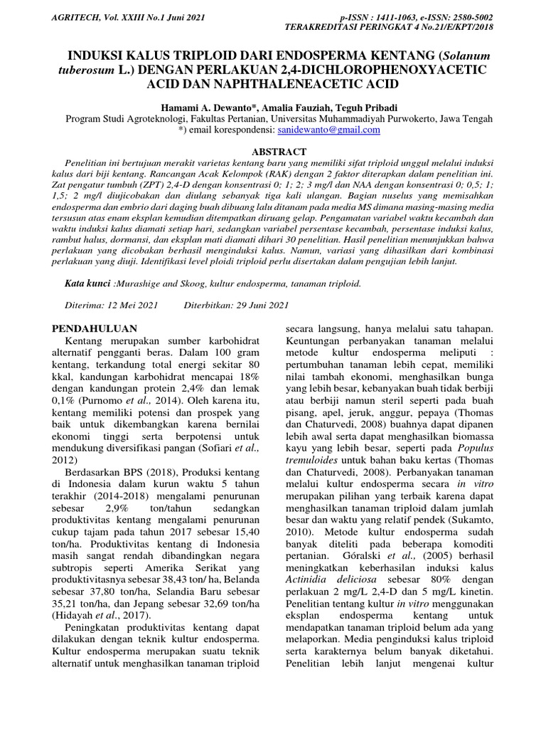 Induksi Kalus Triploid Kentang In Vitro | PDF