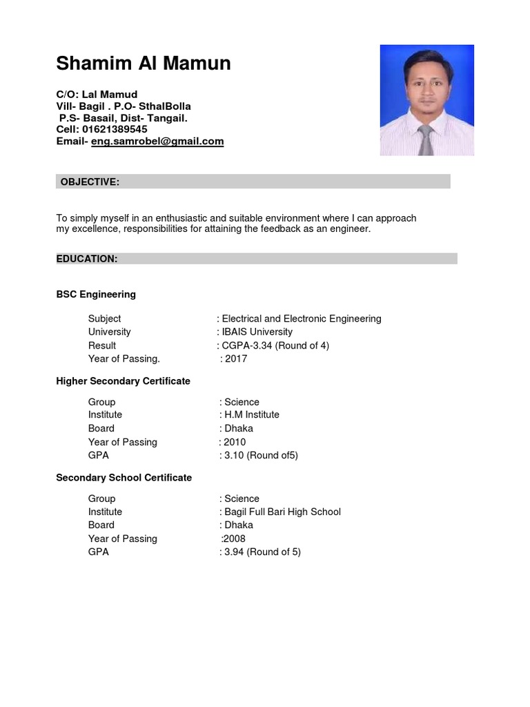 CV of Shamim Al Mamun | PDF | Computing | Information Age