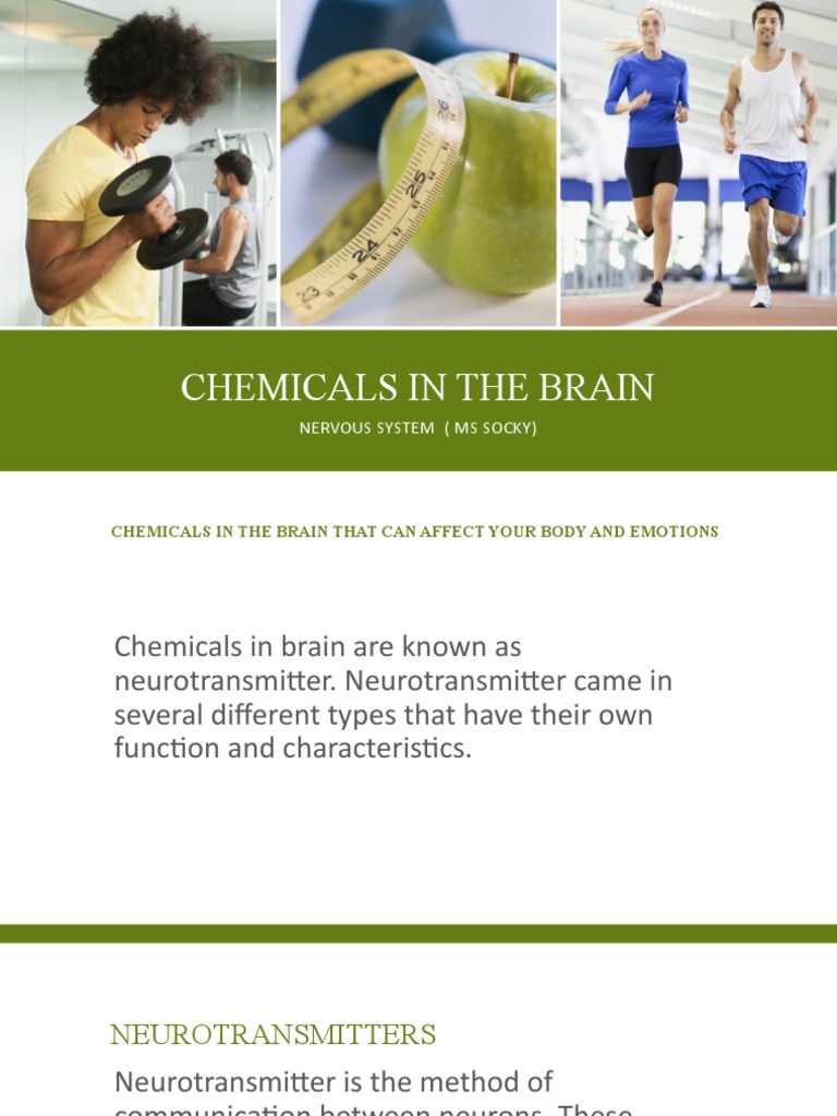 Chemicals in The Brain: Nervous System (Ms Socky) | PDF | Acetylcholine ...