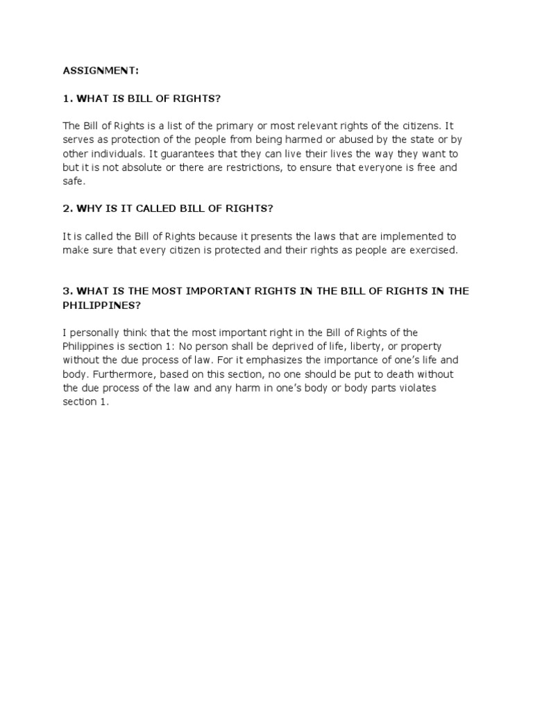 Understanding the Bill of Rights | PDF