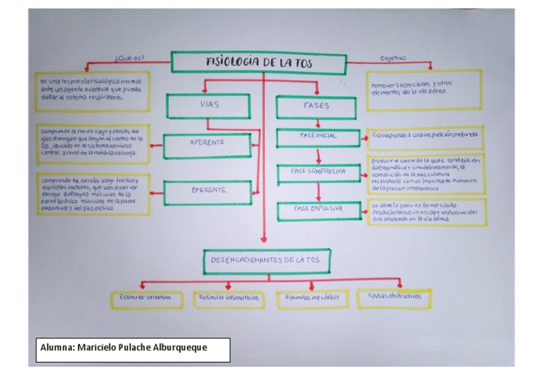 Fisiologia de La Tos | PDF