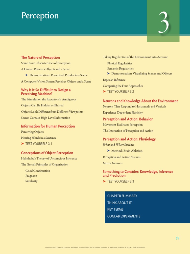 Perception: Test Yourself 3.2 | PDF | Perception | Experience