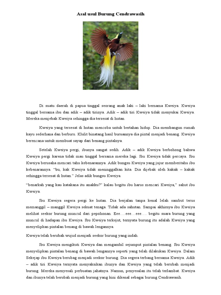 Asal Usul Burung Cendrawasih | PDF