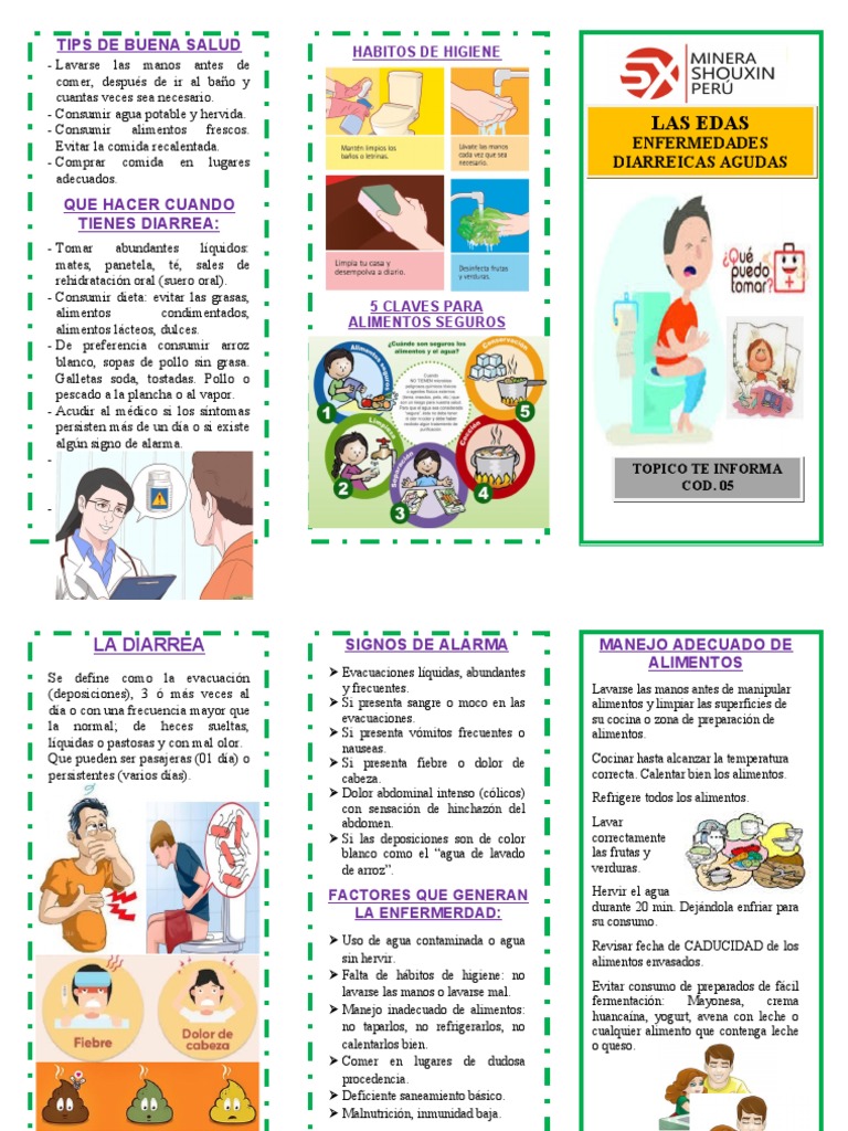 Triptico de Edas Revisado | PDF | Alimentos | Diarrea