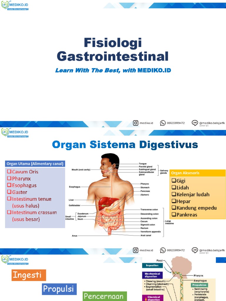 9 Fisiologi Geh | PDF