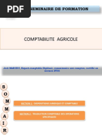 Normes Comptables SYSCOHADA | PDF