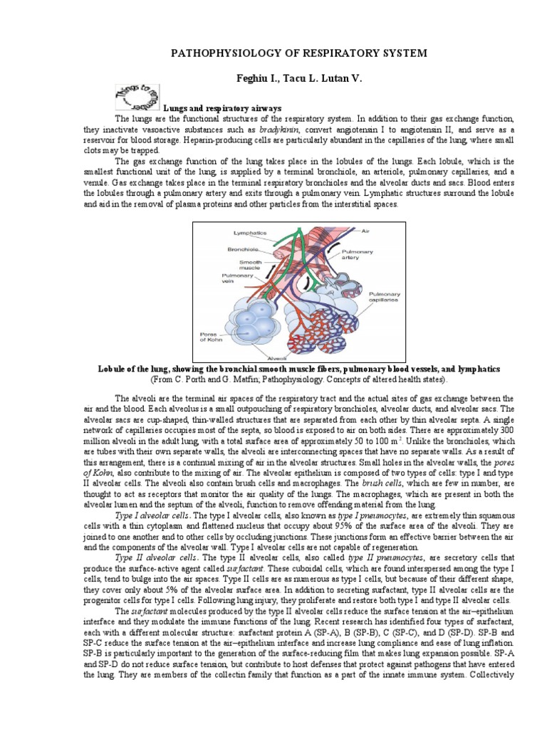Pathophysiology of Respiratory System | PDF | Hypoxia (Medical) | Breathing