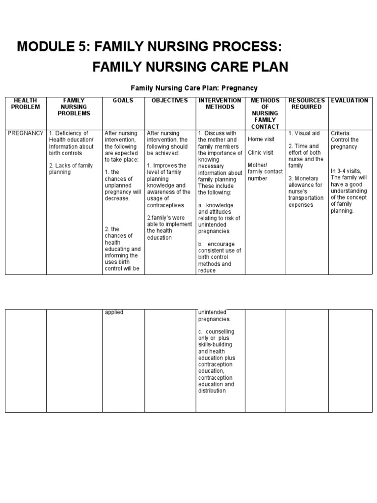Module 5: Family Nursing Process: Family Nursing Care Plan | PDF ...