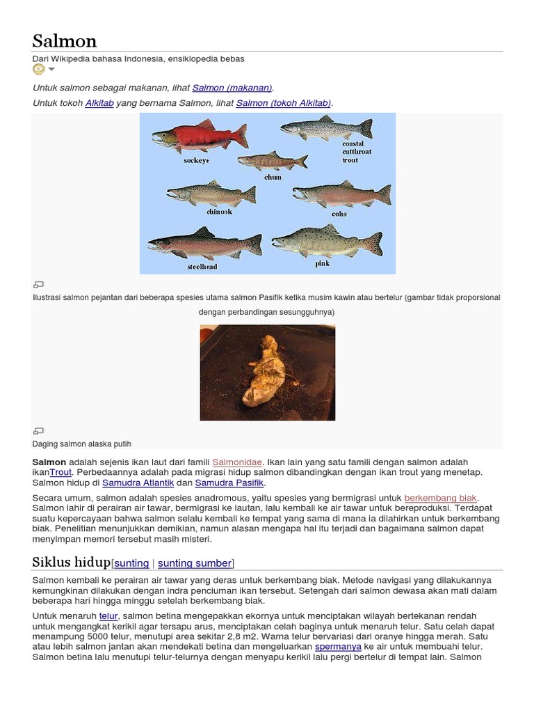 Salmon | PDF