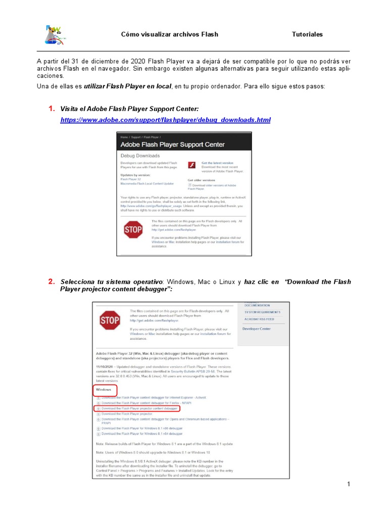 Como Visualizar Archivos Flash | PDF | Adobe Flash | Archivo de computadora