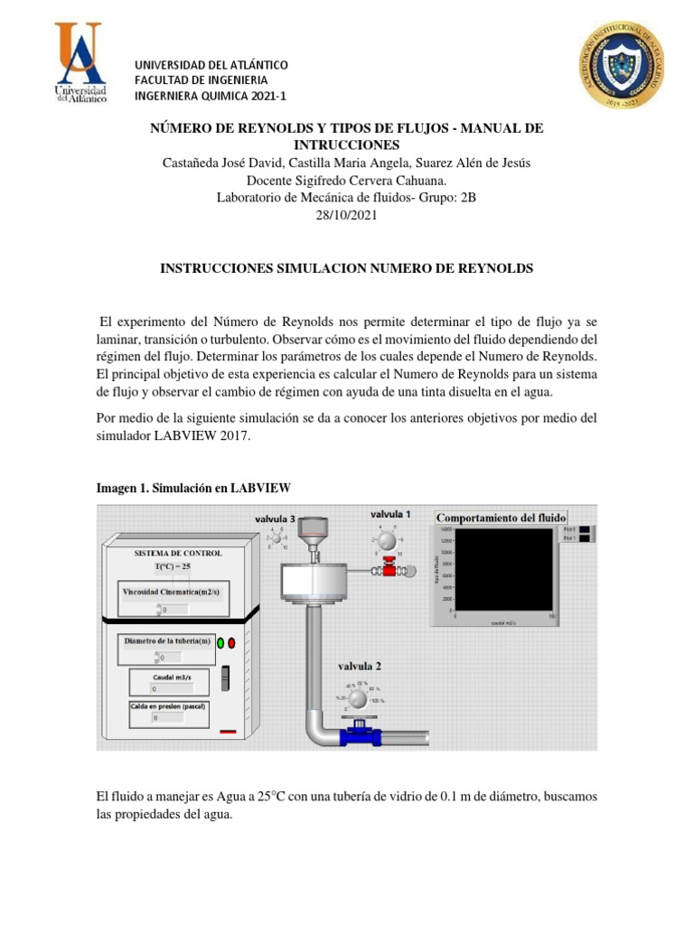 Instrucciones Numero de Reynolds | PDF | Numero Reynolds | Viscosidad
