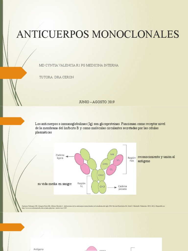 Expo Anticuerpos Monoclonales | PDF | Anticuerpo | Anticuerpo Monoclonal