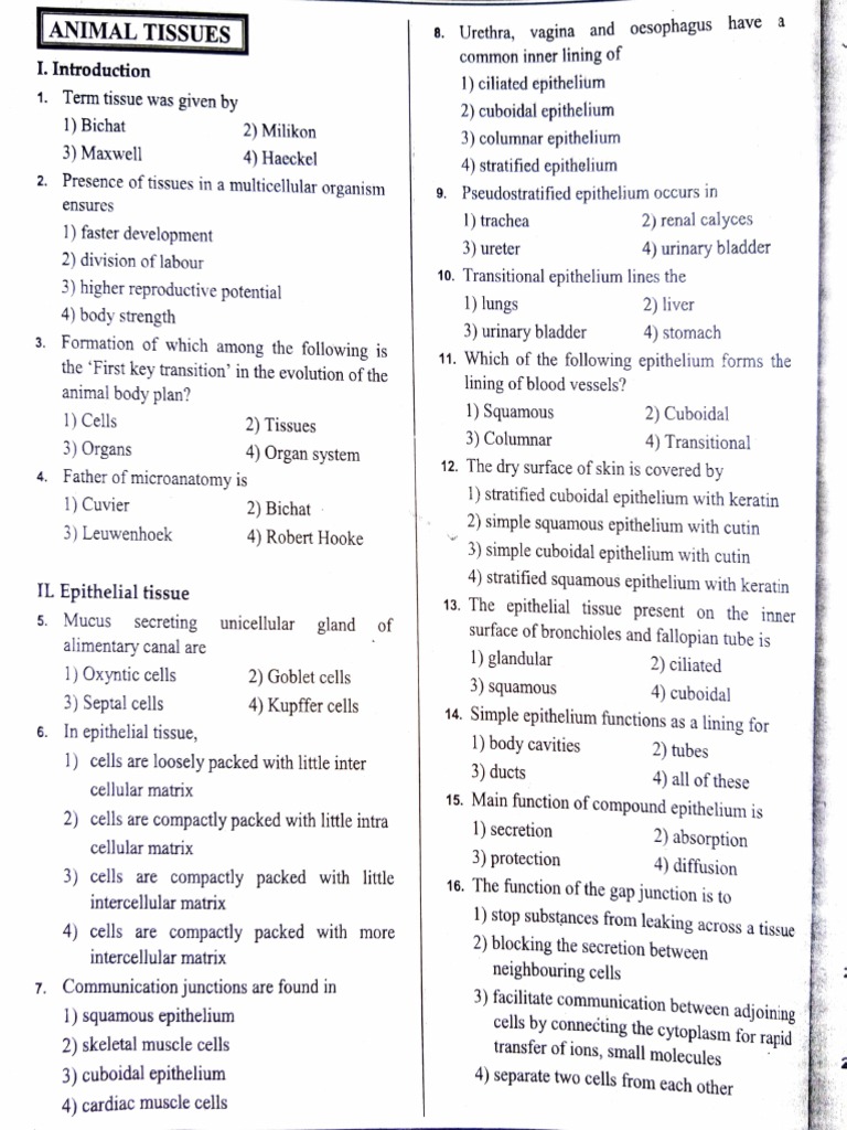 Animal Tissues Mcq... | PDF | Epithelium | Cell Biology