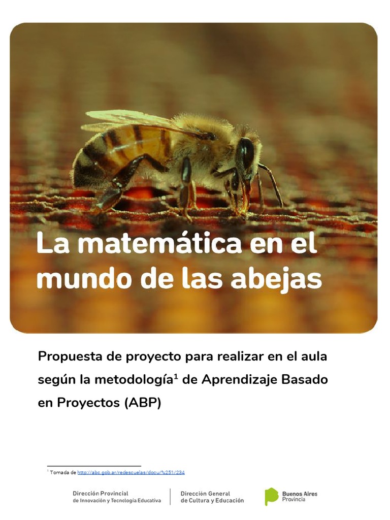 Matemática, Mundo de Abejas | PDF | Plan de estudios | Educación primaria