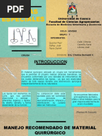 ESCALA DE ARMSTRONG (Todas Las Cat) | PDF