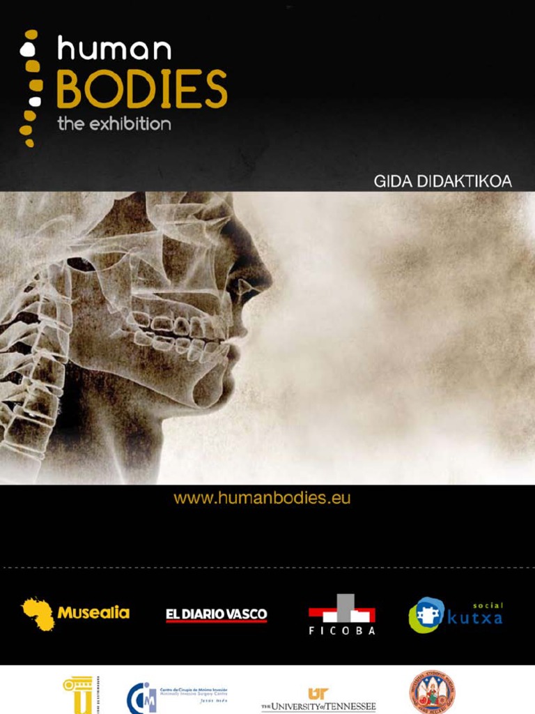 Gida Didaktikoa | PDF