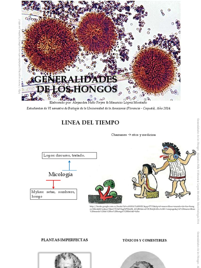 Generalidades de Los Hongos. | PDF | Hongo | Espora