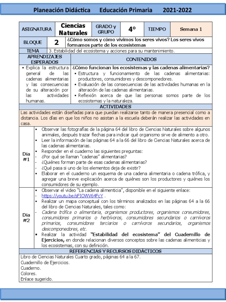 Actividades de Ciencias Naturales 4° grado | PDF | Educación primaria ...