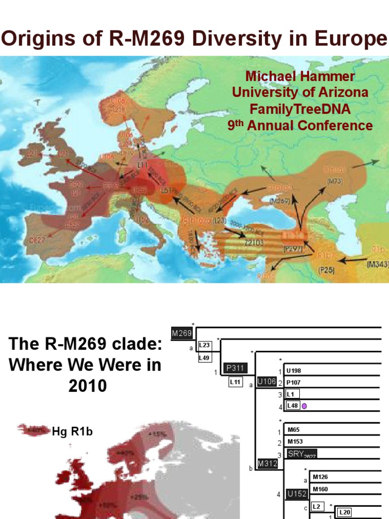 R-M269 Diversity Origins in Europe | PDF | Population Genetics | Mammal ...