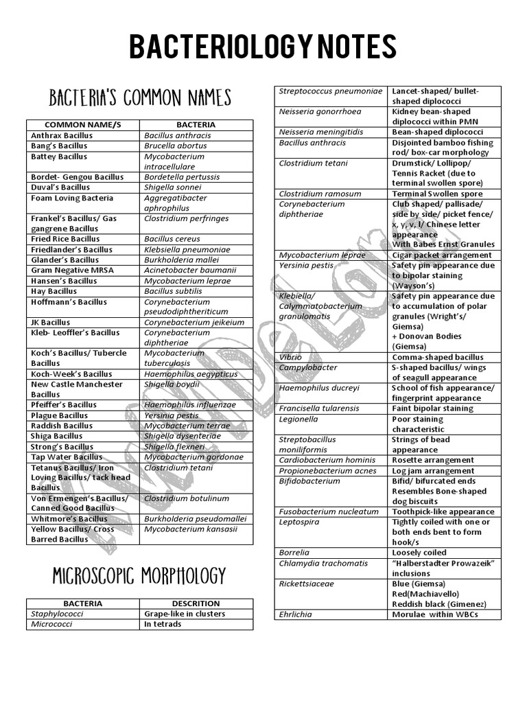 Bacteriology NOTES: Common Name/S Bacteria | PDF | Streptococcus ...
