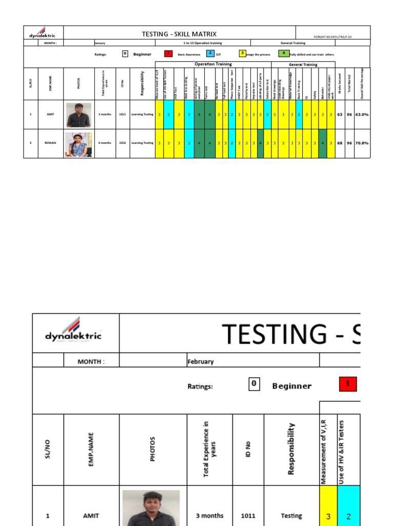 Testing Skill Matrix 2021 | PDF | Cognitive Science | Psychology