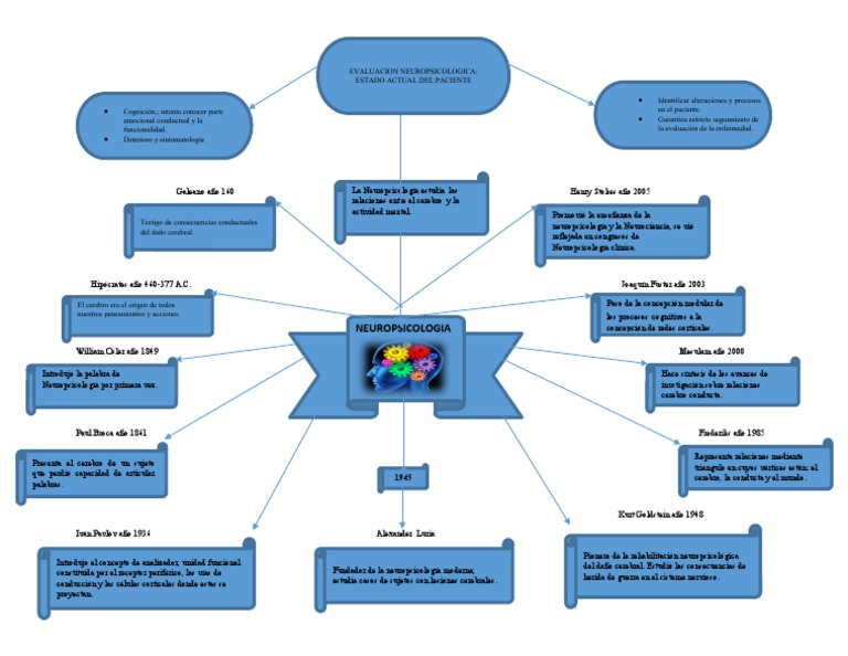 Punto 3 de Neuro MAPA | PDF | Neuropsicología | Cerebro