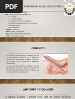Lobectomia | PDF | Cirugía | Pulmón