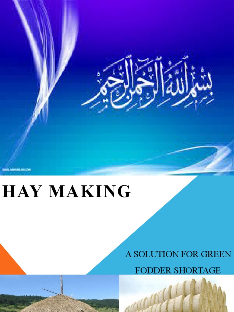 Hay Making PPT | PDF | Hay | Food And Drink