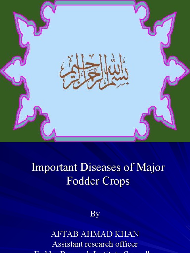 Major Diseases of Fodder Crops | PDF | Alfalfa | Root