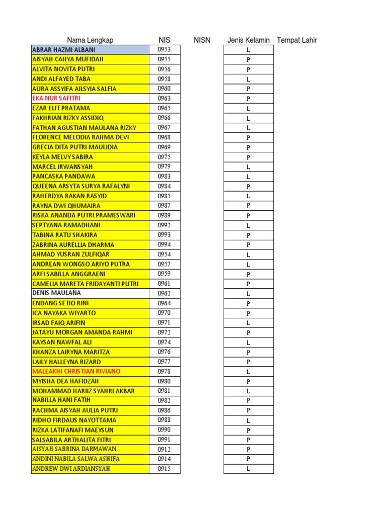 Student Idn Format | PDF