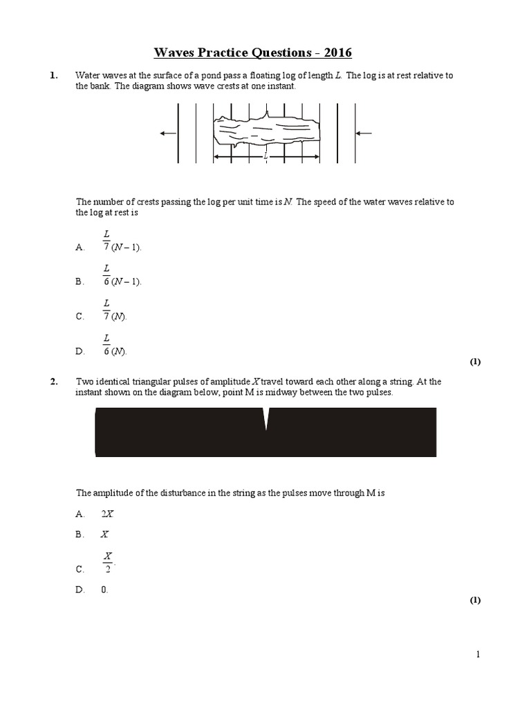 Physics Practice Paper | PDF | Waves | Polarization (Waves)