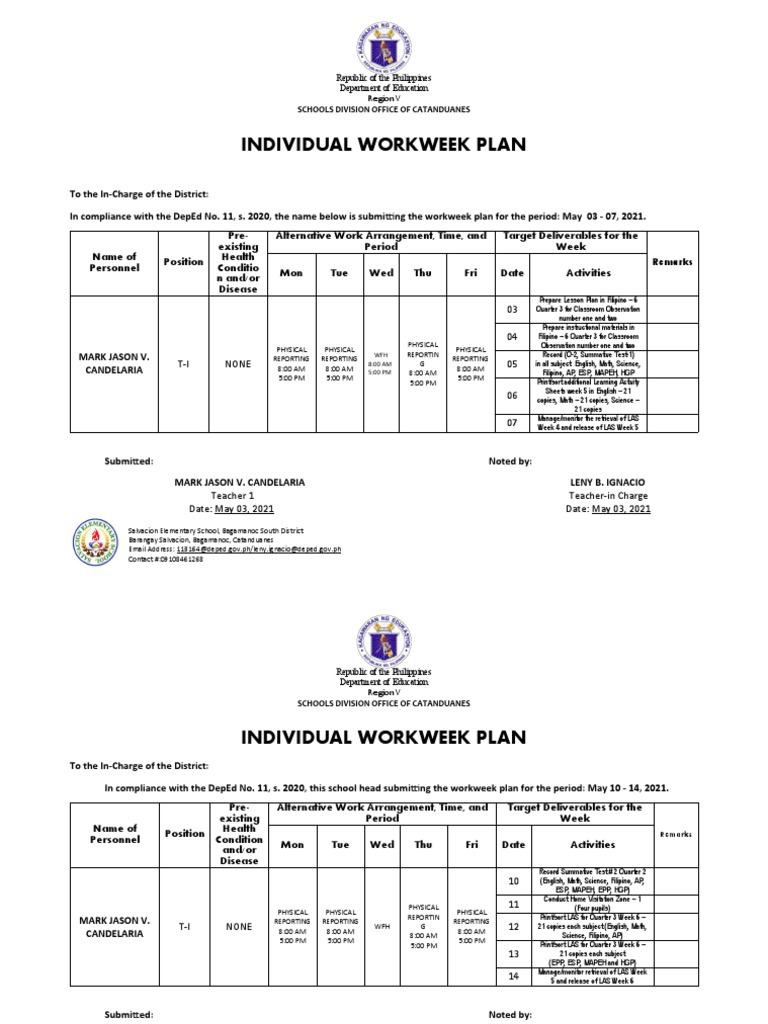Individual Workweek Plan: Schools Division Office of Catanduanes | PDF ...