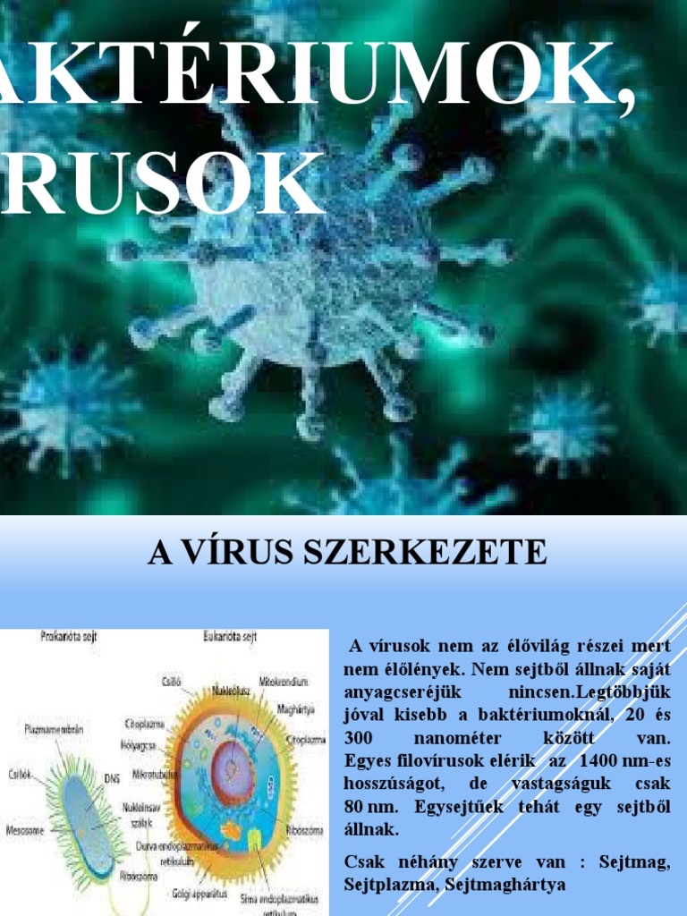 Baktériumok, Vírusok | PDF