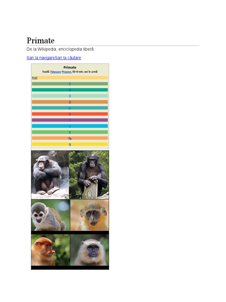 Primate | PDF