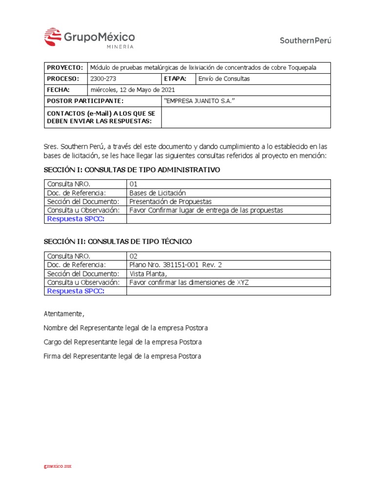 2300-273 Formato de Consultas | PDF