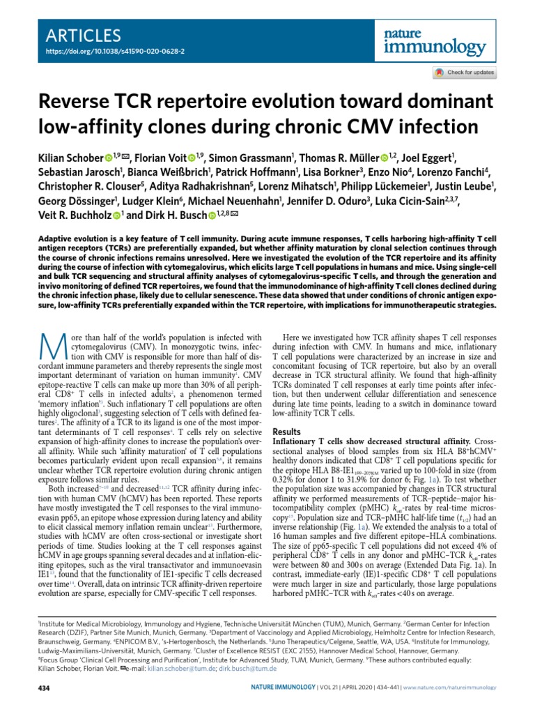 Reverse TCR Repertoire Evolution Toward Dominant Low-Affinity Clones ...