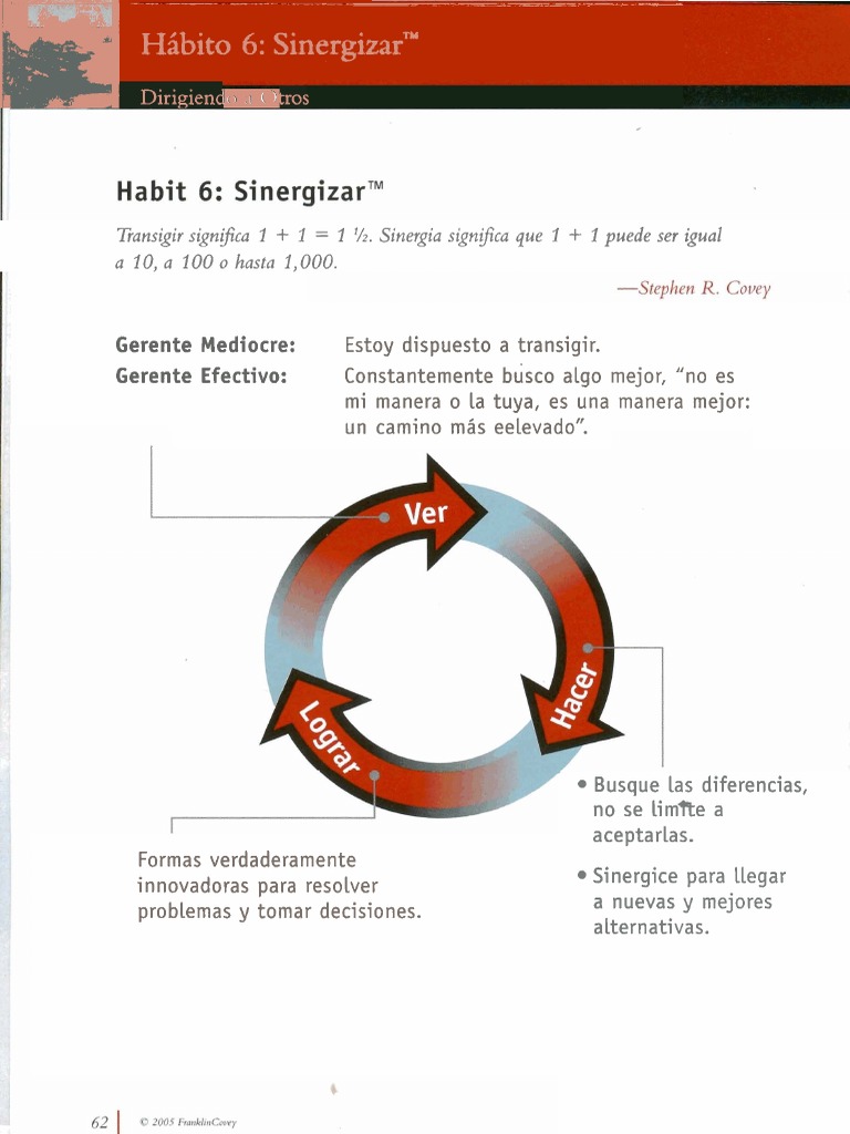 Hábito 6 Sinergizar | PDF