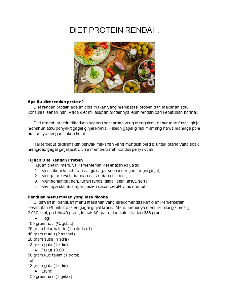 Diet Protein Rendah | PDF