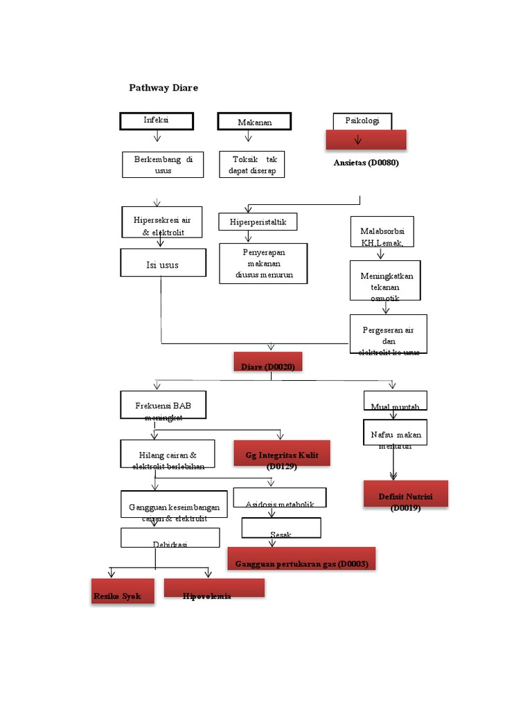 Pathway Penanganan Diare pada Anak | PDF