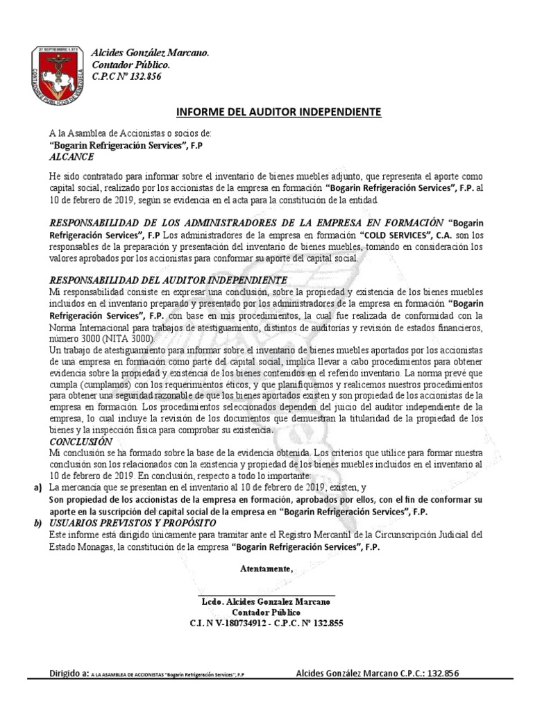 INFORME de Auditor Independiente | Descargar gratis PDF | Contralor | Contador