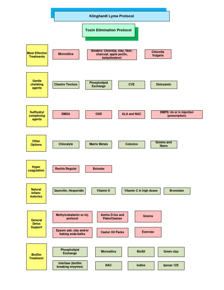 Flowchart Toxin Elimination Protocol | PDF | Chemical Compounds ...