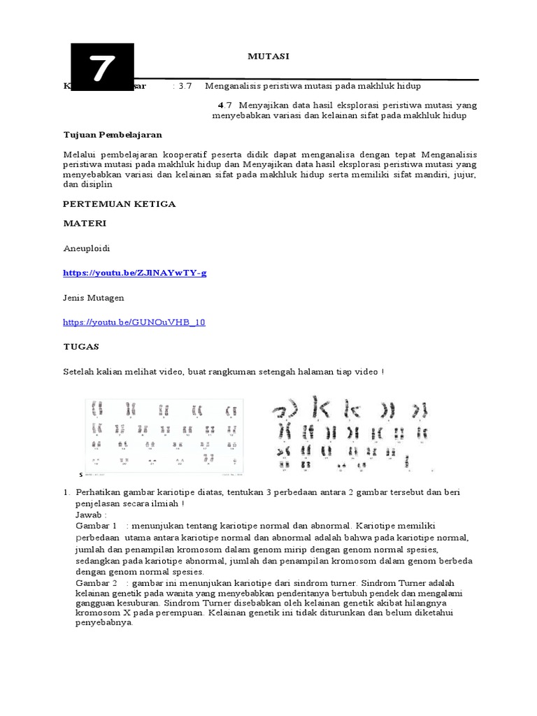 LKPD Mutasi 3 Udh Dijwb | PDF