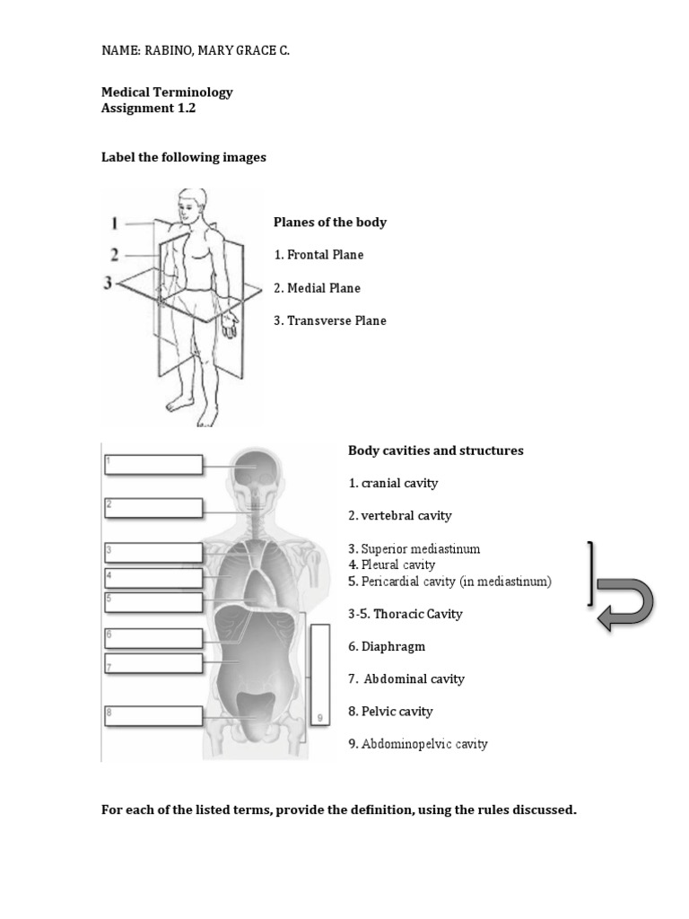 Medical Terminology Assignment 1.2 Label The Following Images | PDF ...