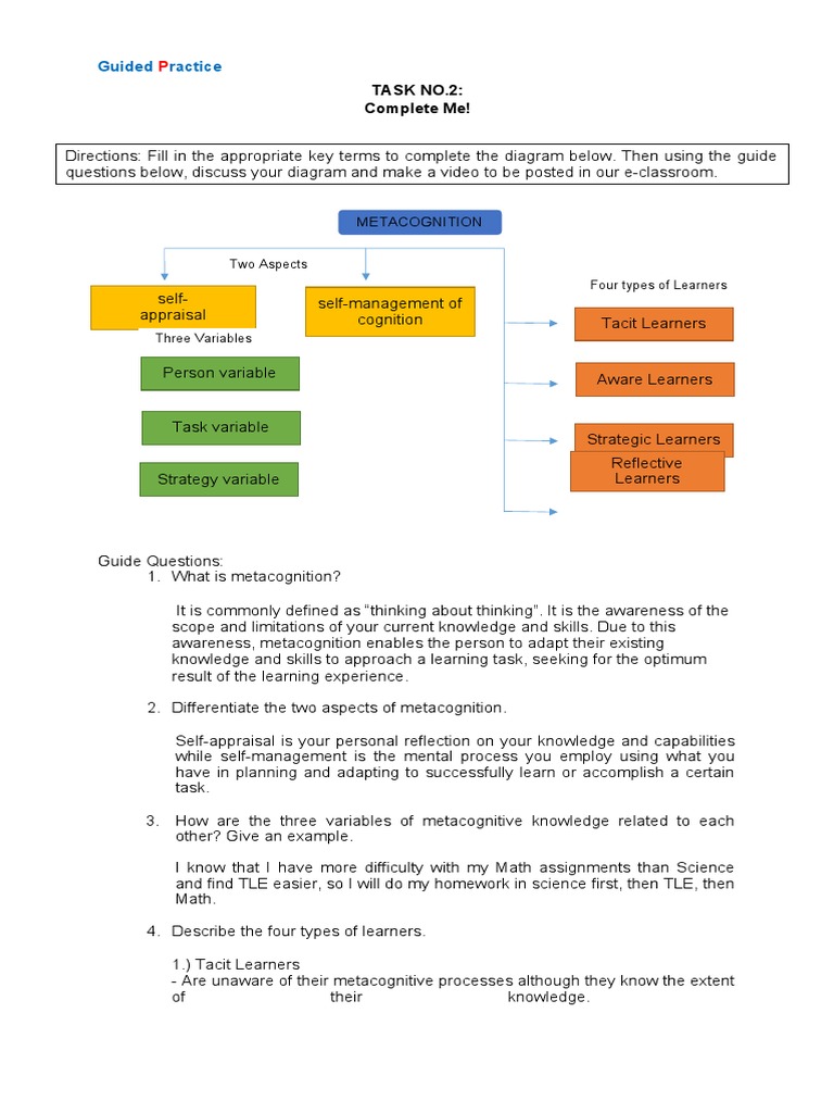 (Template) Guided Practice | PDF | Metacognition | Learning