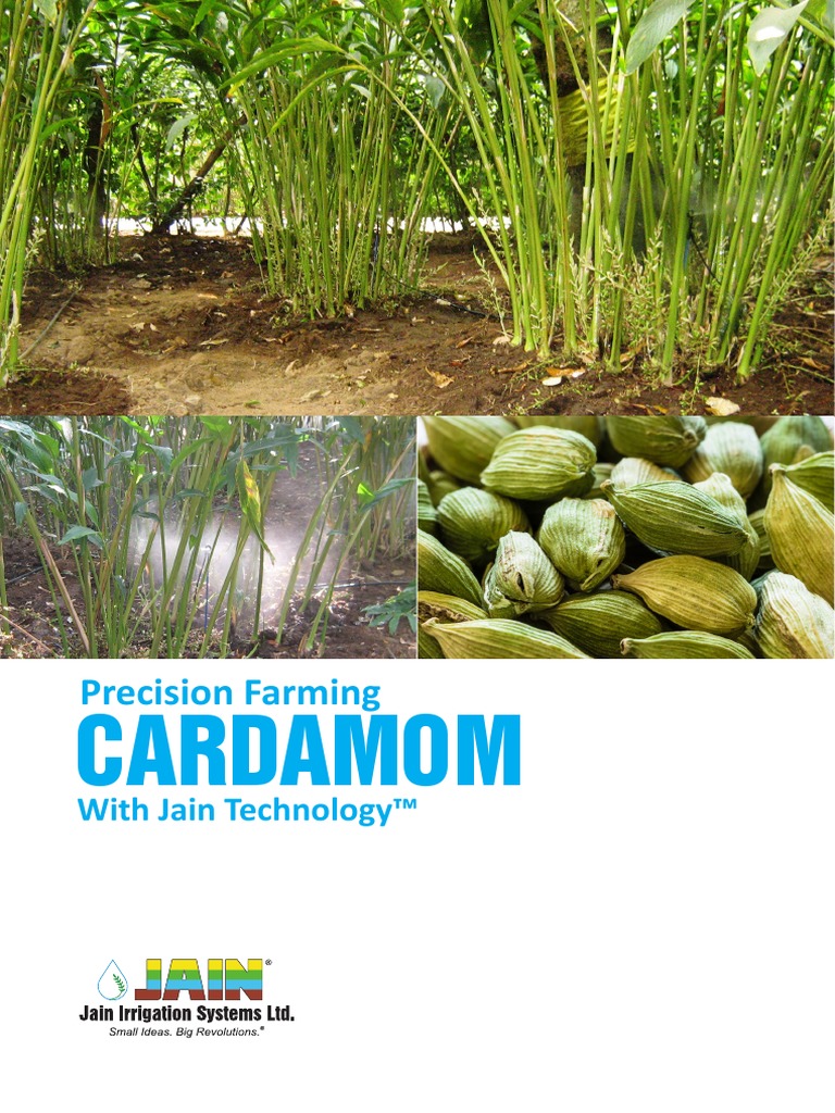 Cardamom: Precision Farming | PDF | Irrigation | Agriculture
