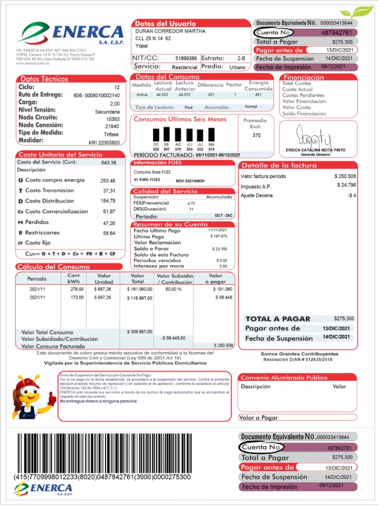 Recibo Luz Enerca | PDF
