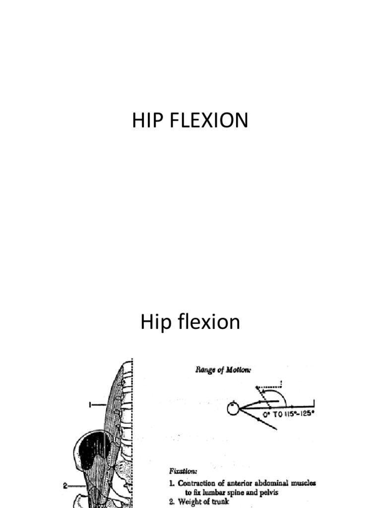 Hip Flexion | Download Free PDF | Hip | Human Anatomy